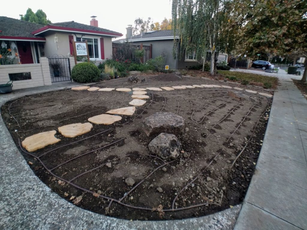 How To Grow a Native Garden - Breathe Together Yoga