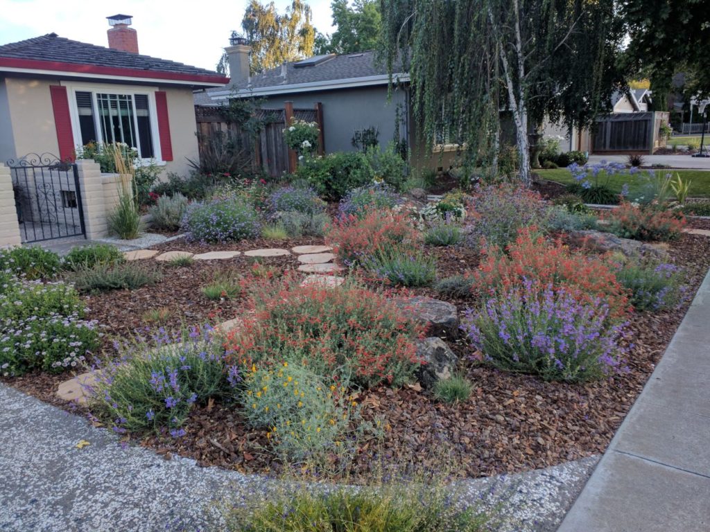 How To Grow a Native Garden - Breathe Together Yoga
